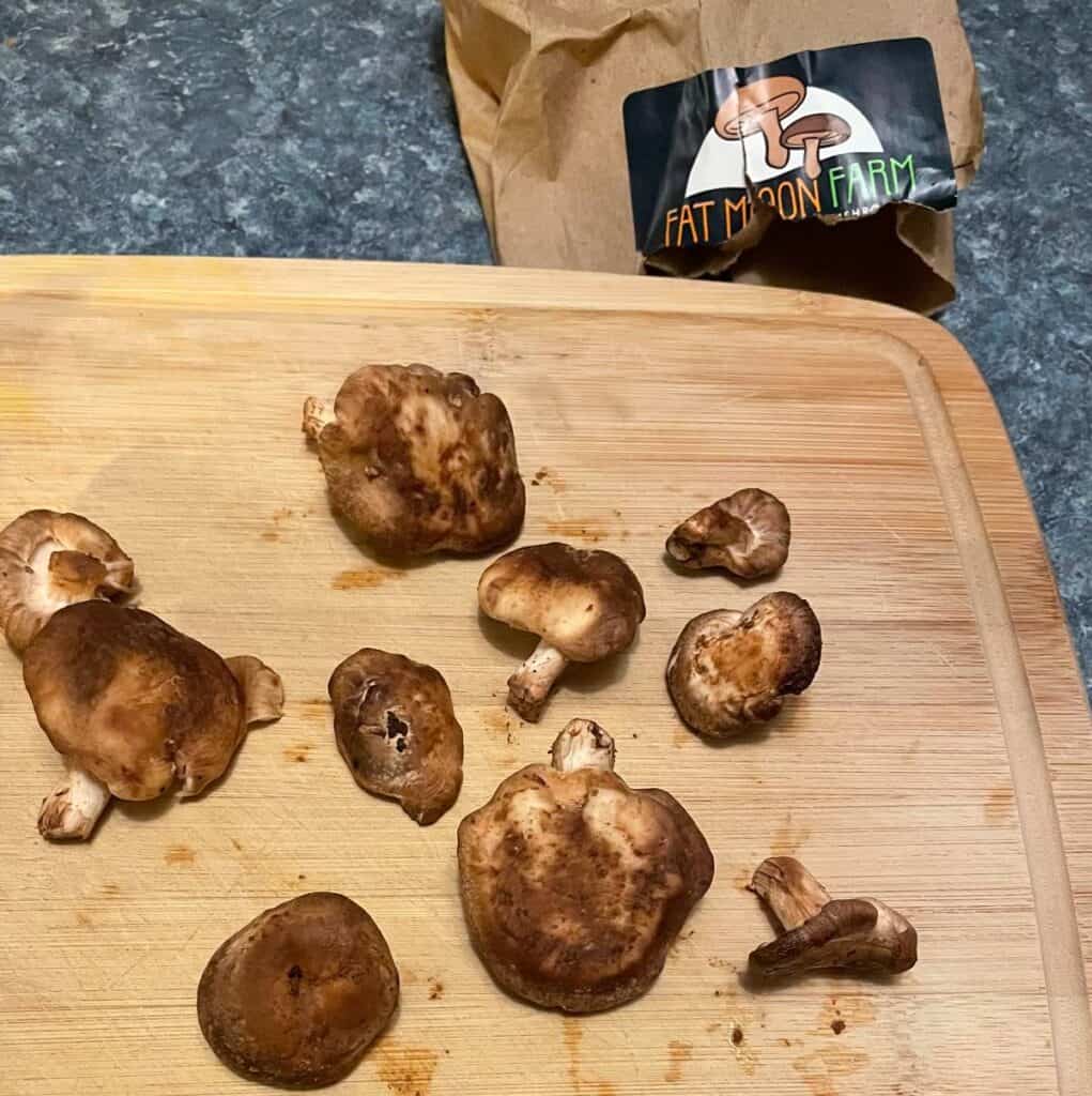 Ground Turkey Pasta Sauce with Mushrooms - Cooking Chat