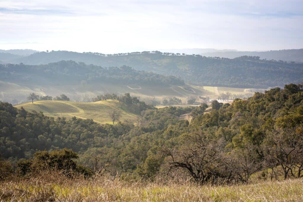 Pairings with Halter Ranch Wines - Cooking Chat