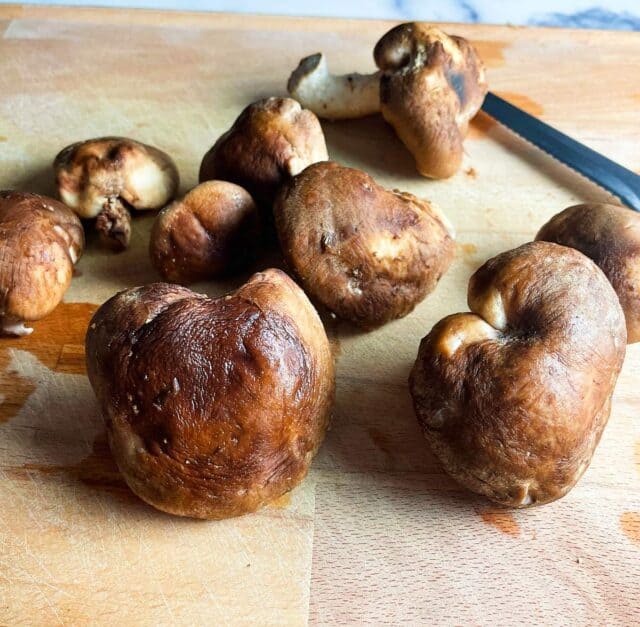 Steak with Shiitake Mushrooms - Cooking Chat