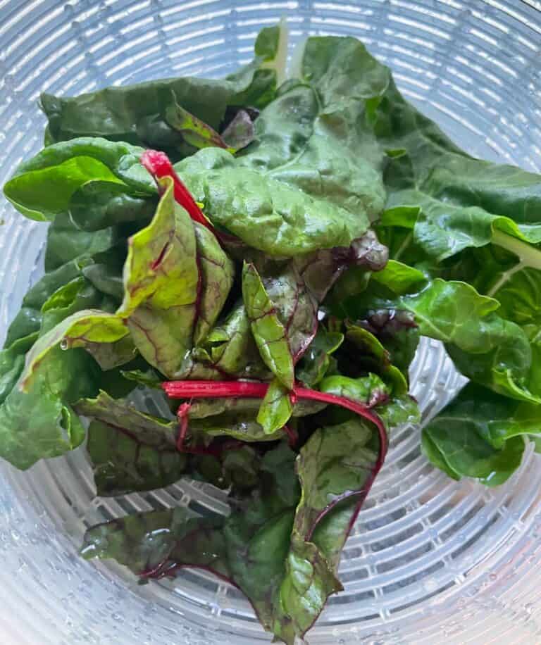 Raw Swiss Chard Salad with Fresh Vegetables - Cooking Chat